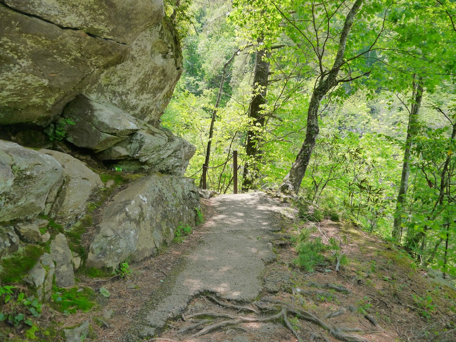 American Travel Journal: Bald River Falls and Kahuna Falls - Cherokee ...