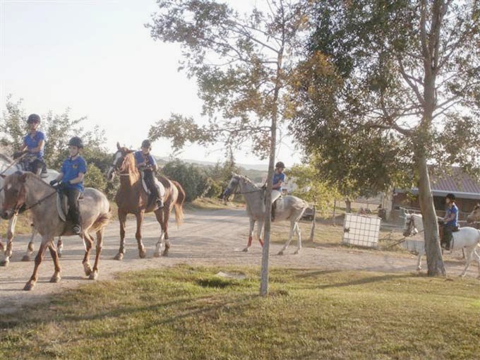 ΓΝΩΜΗ ΚΙΛΚΙΣ ΠΑΙΟΝΙΑΣ: Πετυχημένο το summer camp του ιππικού ομίλου ...