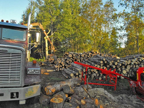 Frank Rhyno's Valley Firewood: 3. Wood Info and Burning Hazards