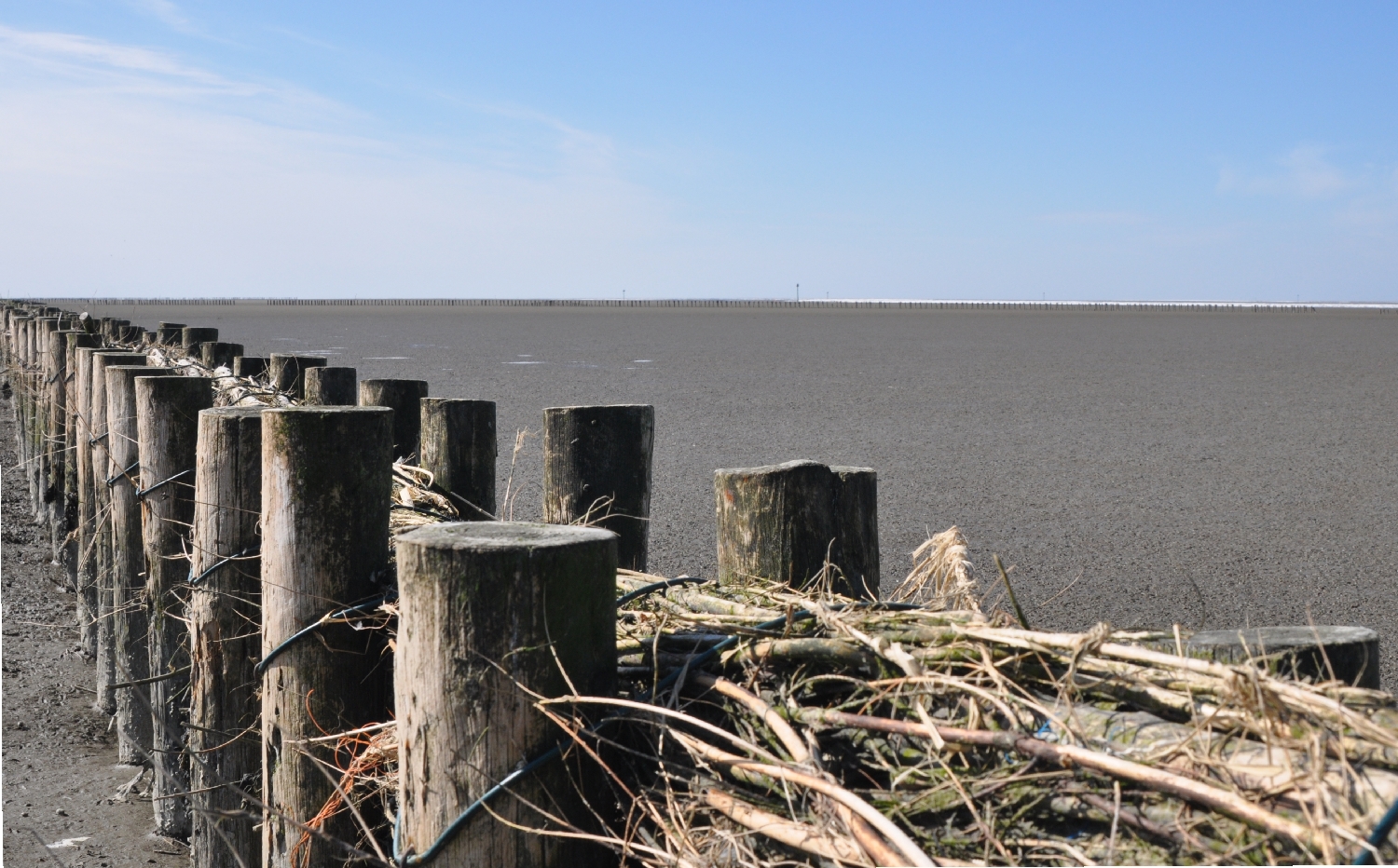 Just a feeling !: Pier Holwerd