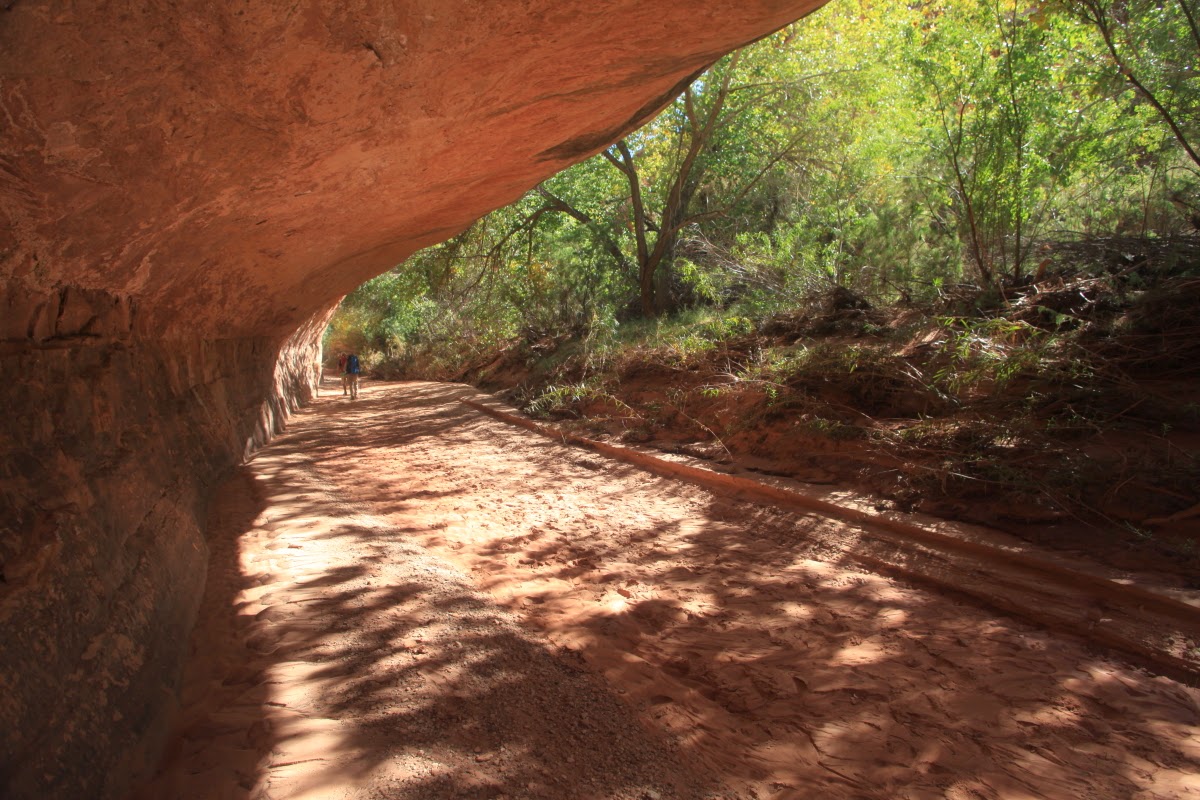 Earthly Musings - My Travel and Geology Blog: Hiking Into Grand Gulch ...