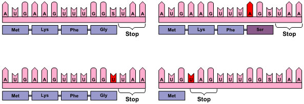 E Learning MAN 1 Medan: Mutasi