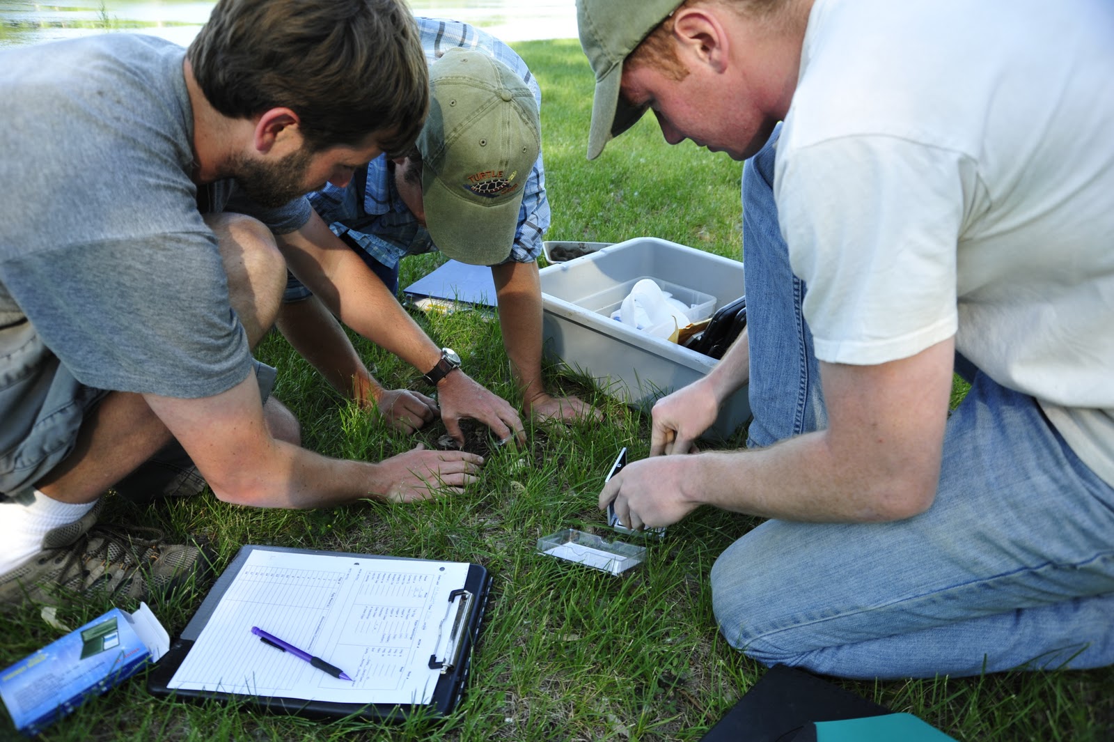 Tim's Fertile Turtles: Scientists don't just learn from experiments!