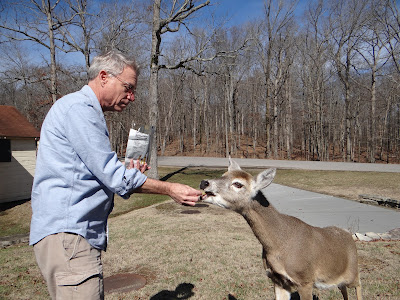 Trader Joe's 365: Spud Crunchies Potato Snacks*