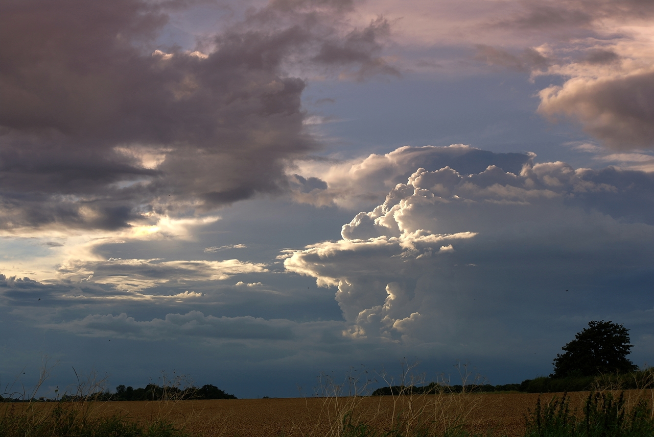 FAST TRACK TO NOWHERE IN PARTICULAR: CLOUDY WEATHER