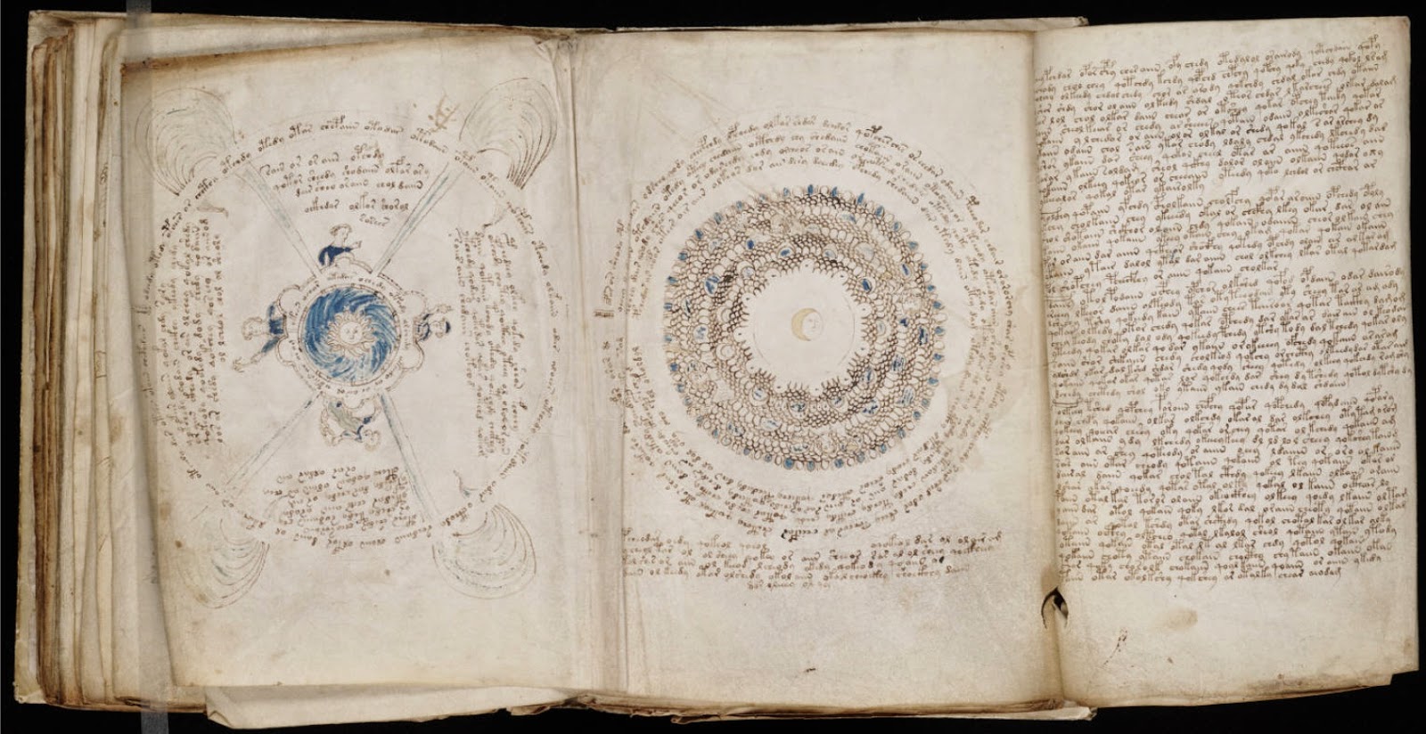 Scriptis: "Sic parvis magna..., sic erat scriptum"