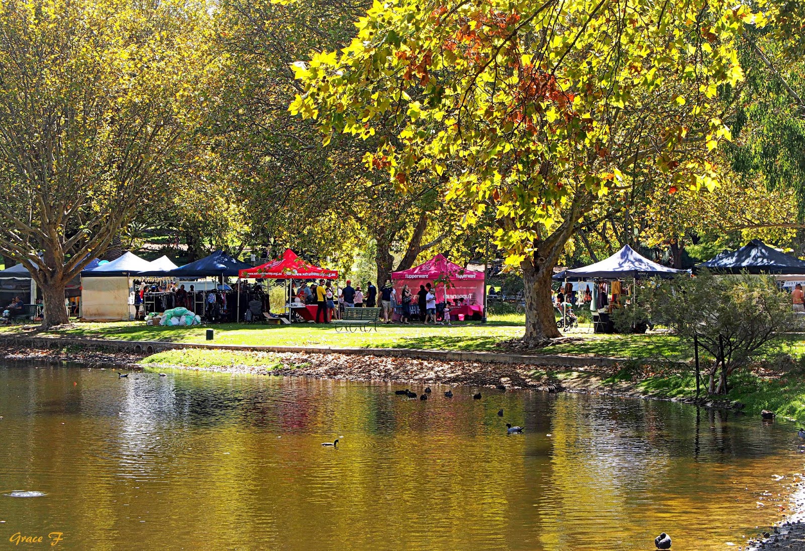 Perth Daily Photo : Autumn fair in Hyde Park..