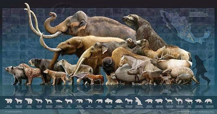 Man vs Earth: Megafauna extinction: Man or climate?