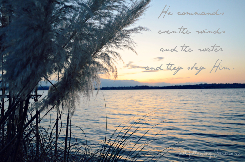 Just following Jesus in my real life...: Luke 8:25...