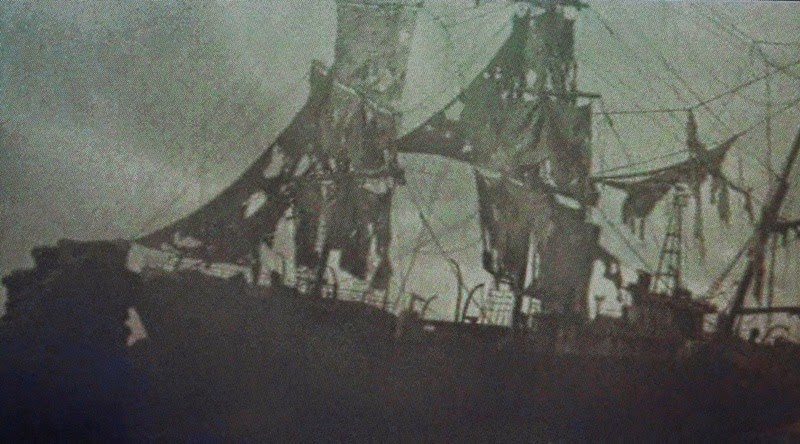 Matango: Attack Of The Mushroom People [1963] - gzmaster