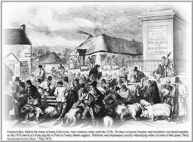 S T R A V A G A N Z A: AGRICULTURE IN IRELAND