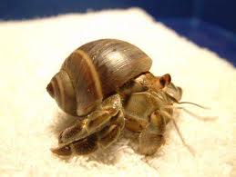 Tatabahasa Bahasa Malaysia: Kata Ganda......