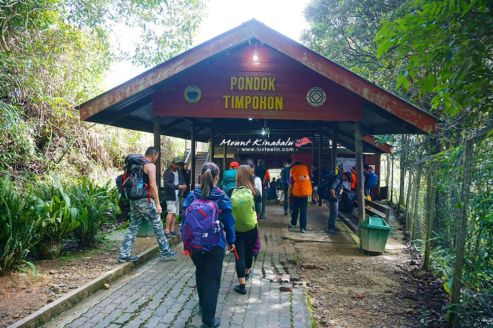 【Mount Kinabalu 神山】Timpohon Gate - Laban Rata 雨天下的六公里泥梯 - 乐飞翎 ♥ LUVFEELIN