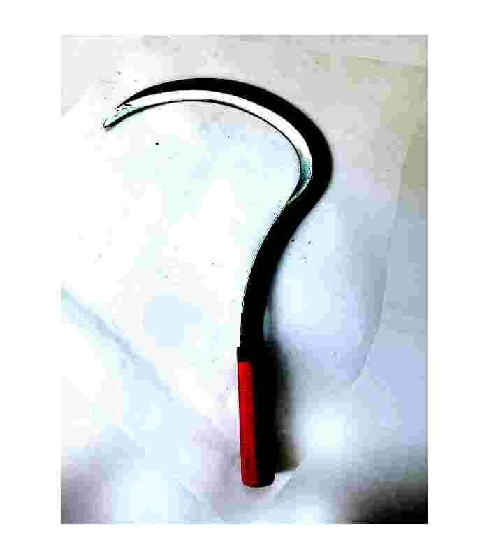 AKAN ZAMAN: Gönlü Zengin Yoksulluk-5-Sarı Dana Neden Huysuzlanmış?