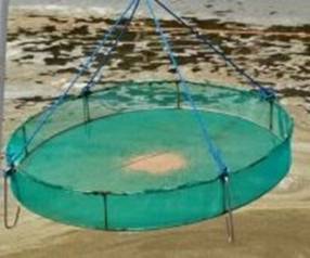 Manajemen Pakan Udang Dengan Sistem Anco