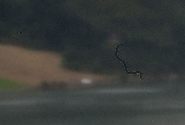 Runar si fotoverd: f/139 - tilbake til opphavet