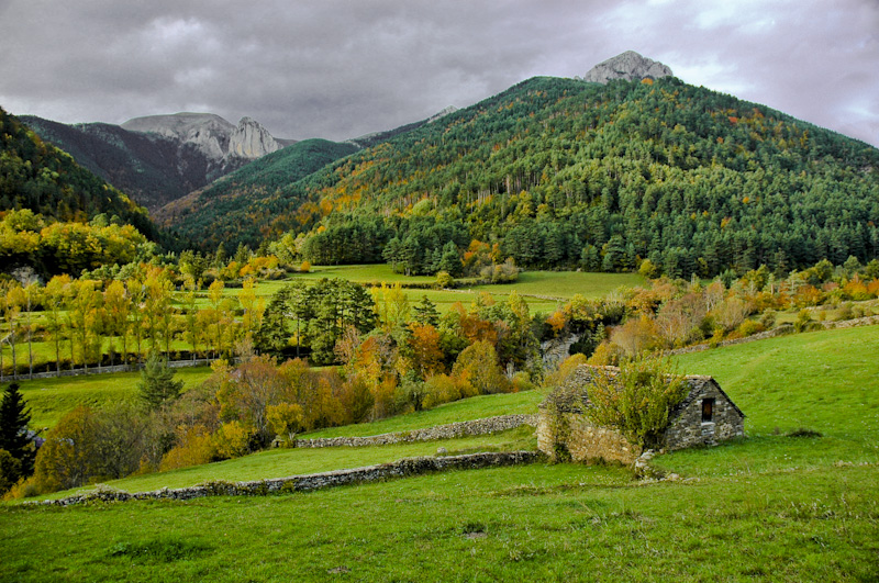 FERNANDINHO MARCONI: VALLES