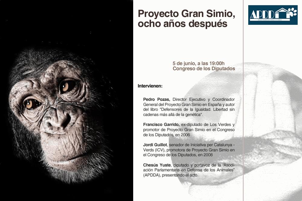 DEFENSOR DE LA IGUALDAD: "PROYECTO GRAN SIMIO, OCHO AÑOS DESPUÉS"