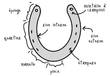 Soon a horse: Le fer à cheval : protection des sabots