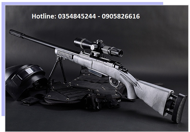 Súng ngắm bắn tỉa đạn thạch M24 - AWM