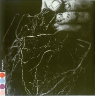 On The Road Again: Fourplay "Elixir"