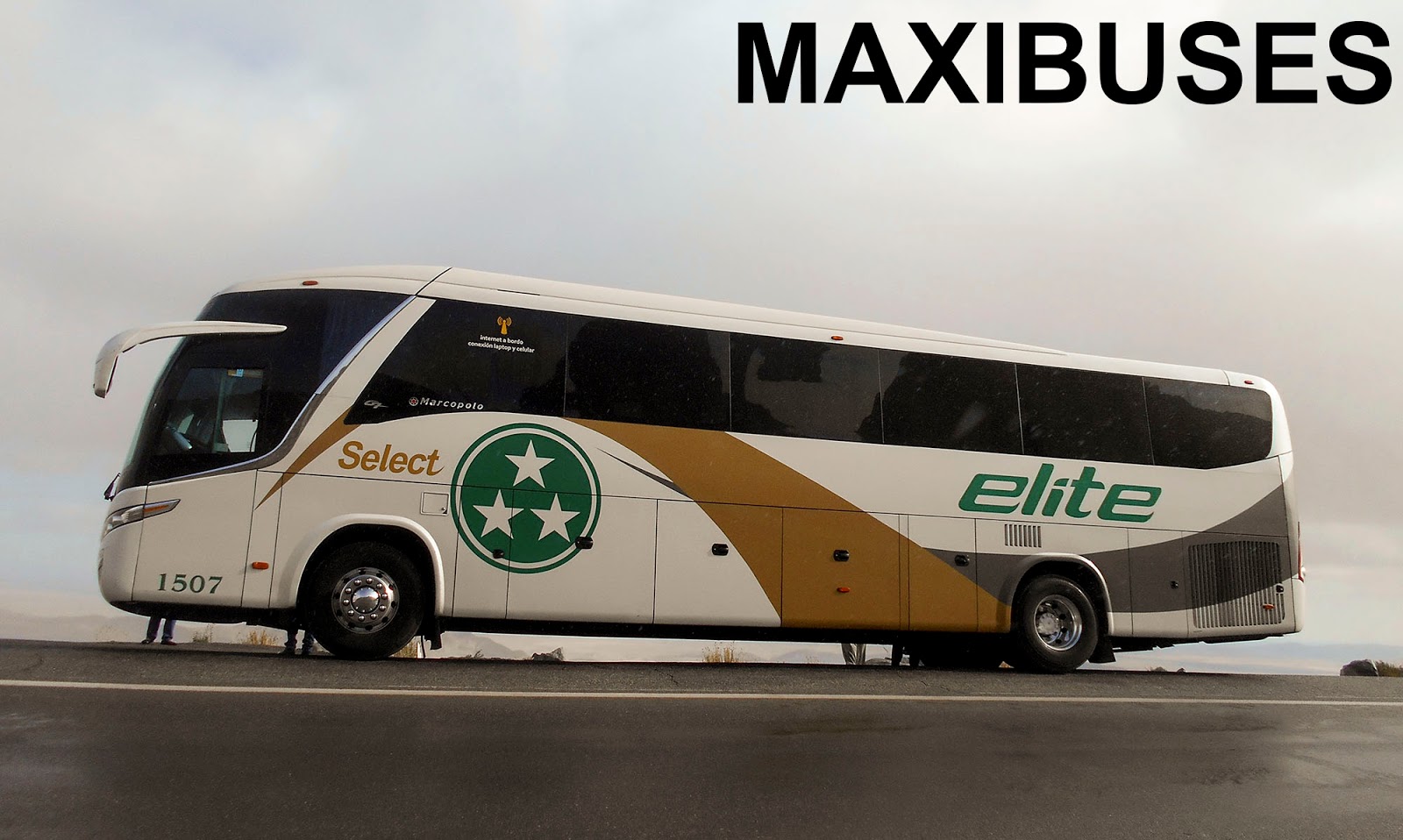MAXIBUSES: ELITE SELECT