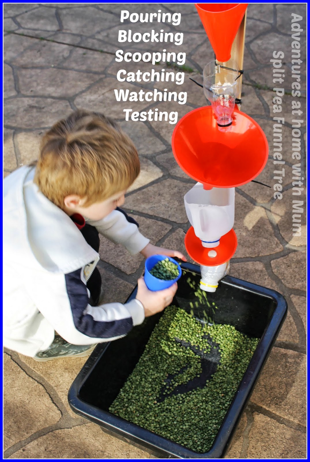 Adventures at home with Mum: Split Pea Funnel Tree