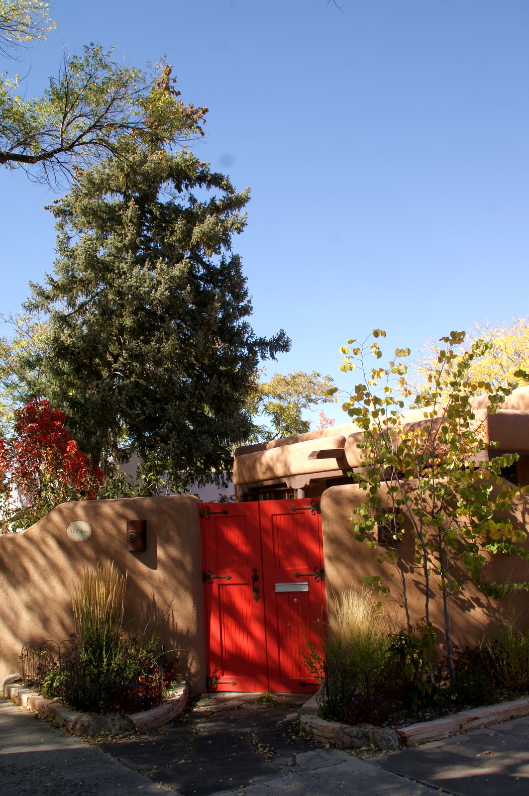 Organic Garden Dreams