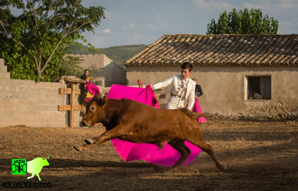 100x100 Toros: Clase práctica para la Escuela Taurina de Guadalajara en ...