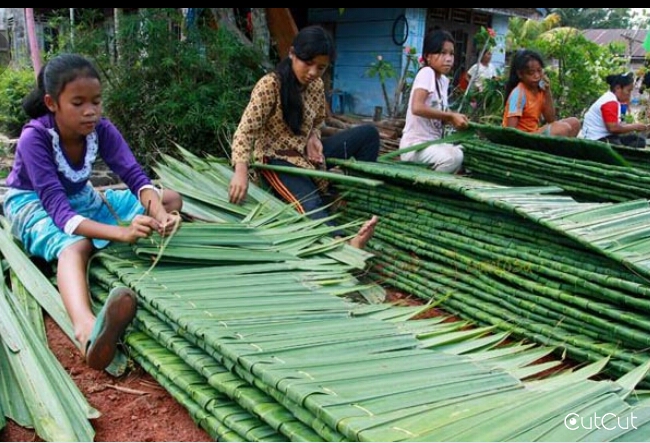 Jual Atap Welit Daun Nipah | Kajang Danurejan Kota Yogyakarta DI ...
