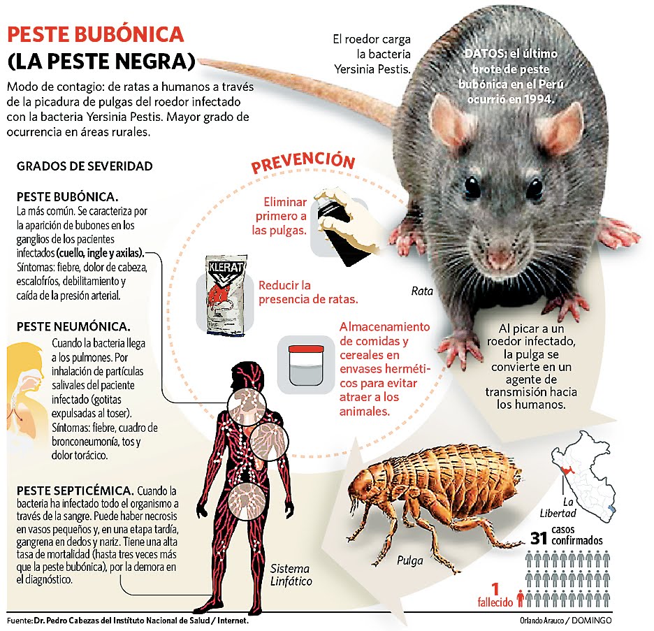 Bacterias Actuaciencia: Yersinia pestis: menage a cinq (y 2)