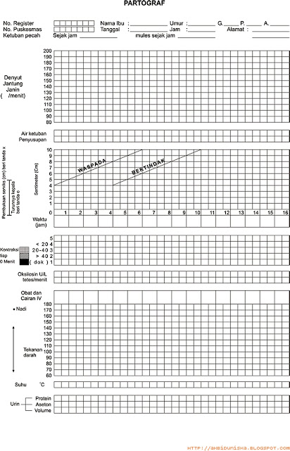 Riezka Lestari's Blog: PARTOGRAF