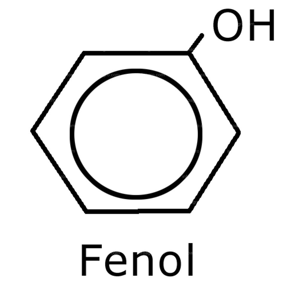 El Fenol - Benceno