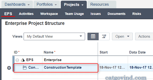 How to export a Template in Primavera P6 EPPM
