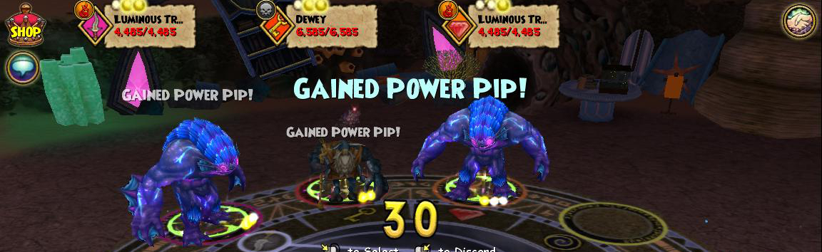 Wizard101 Fantastic Voyage Gauntlet Bundle - Swordroll's Blog ...