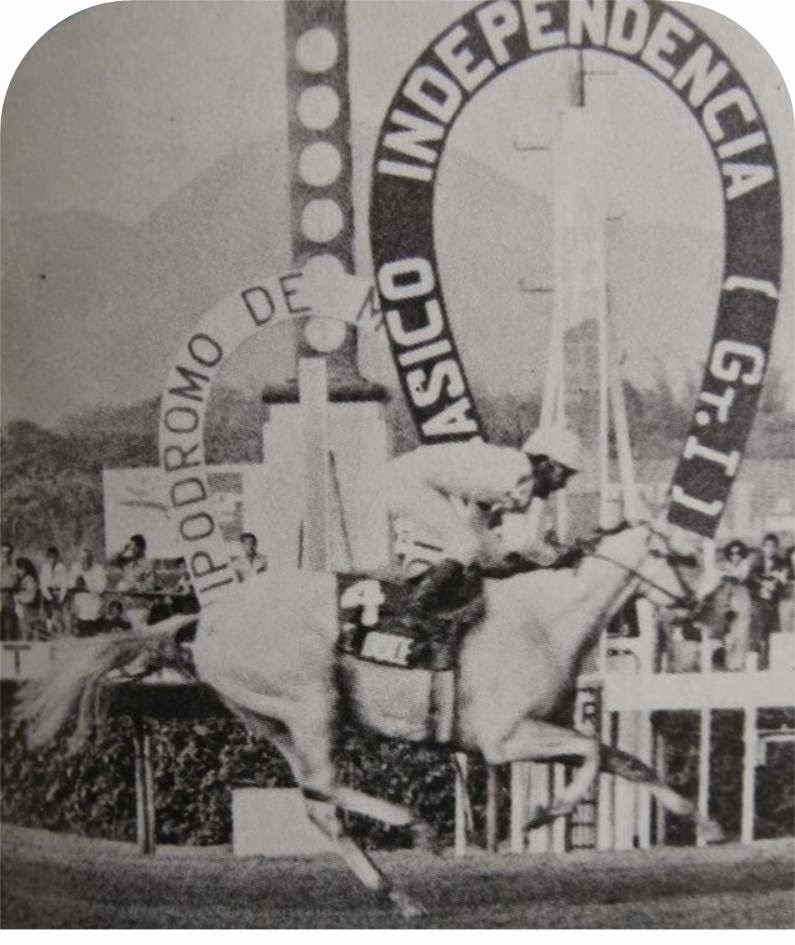La historia de la hipica peruana: EL DUCE, La nobleza hecha caballo.