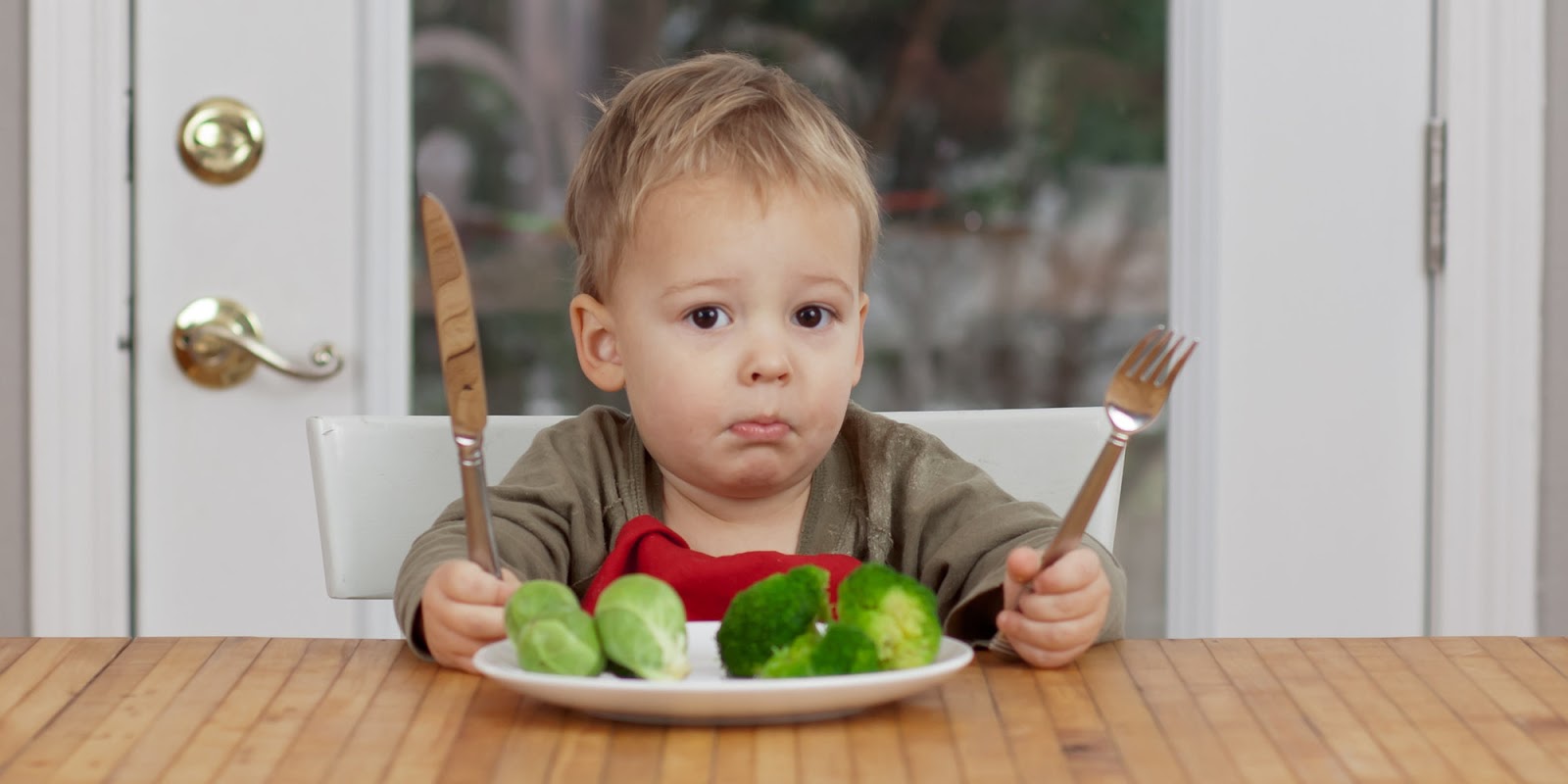 ¿Por qué a los niños no les gusta la verdura ni el pescado?