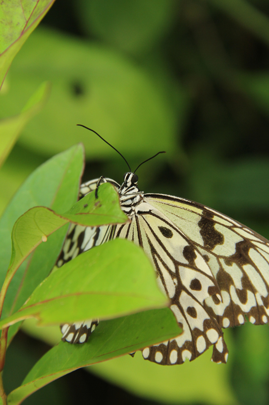 片刻，生命。 - Liubb Say...