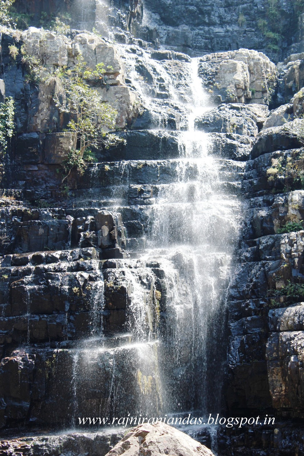 Tales Of A Nomad: Talakona Waterfalls- A Hidden Secret...!!