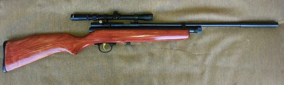 Archer on Airguns: Manuel's QB79 Project.
