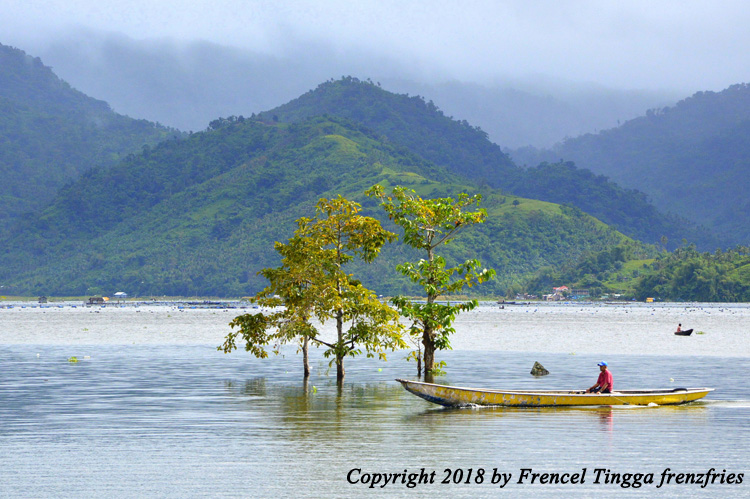 Frenz Fries: Lake Buhi Resort