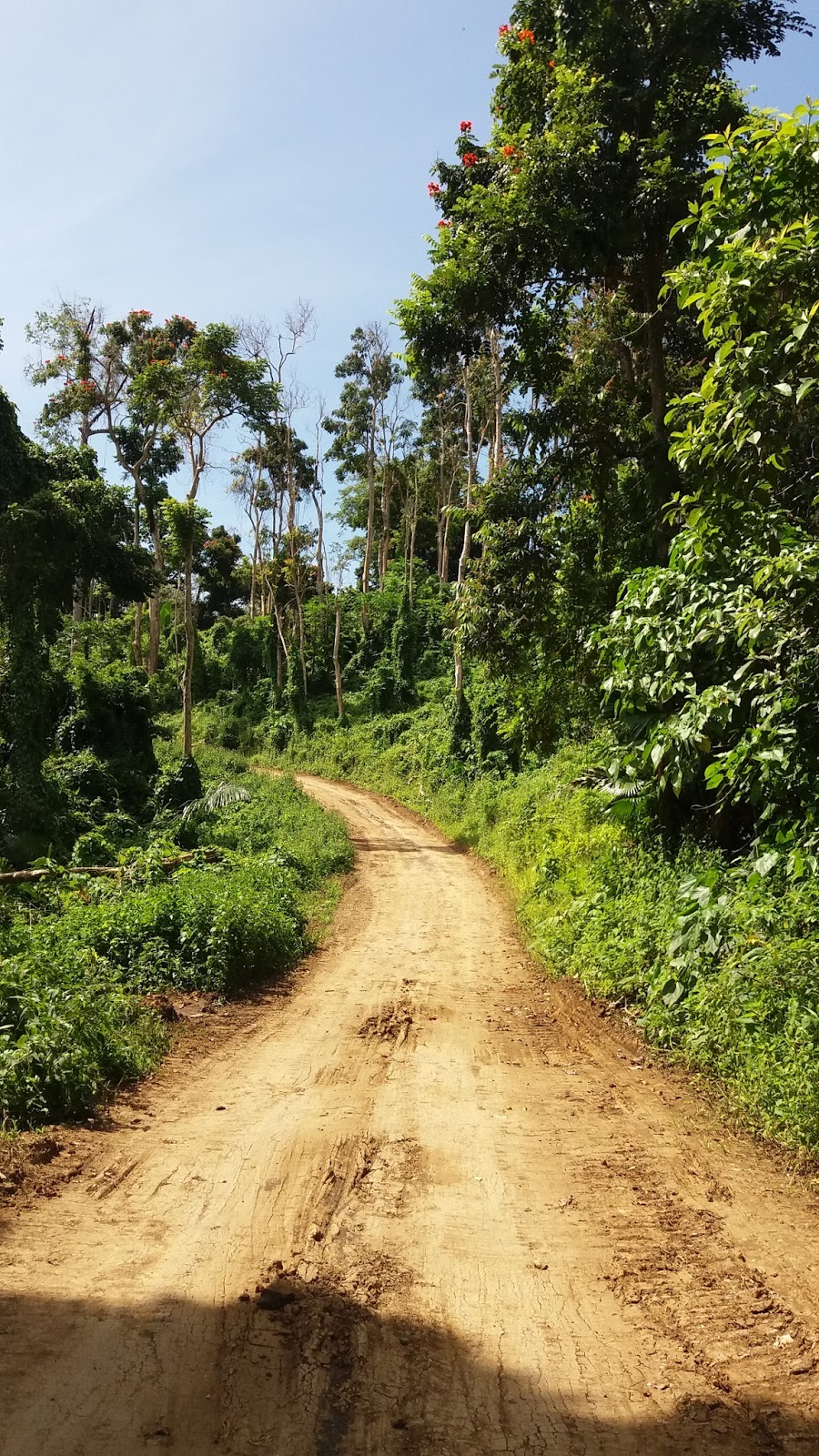 Blog Wisata Sulawesi Utara, Indonesia: TAMAN HUTAN RAYA GUNUNG TUMPA ...