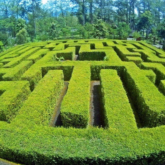 Safitri kumalasari: TAMAN LABIRIN COBAN RONDO MALANG.