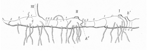 Diario de campo: investigación etnográfica de TODOELE: La estructura ...