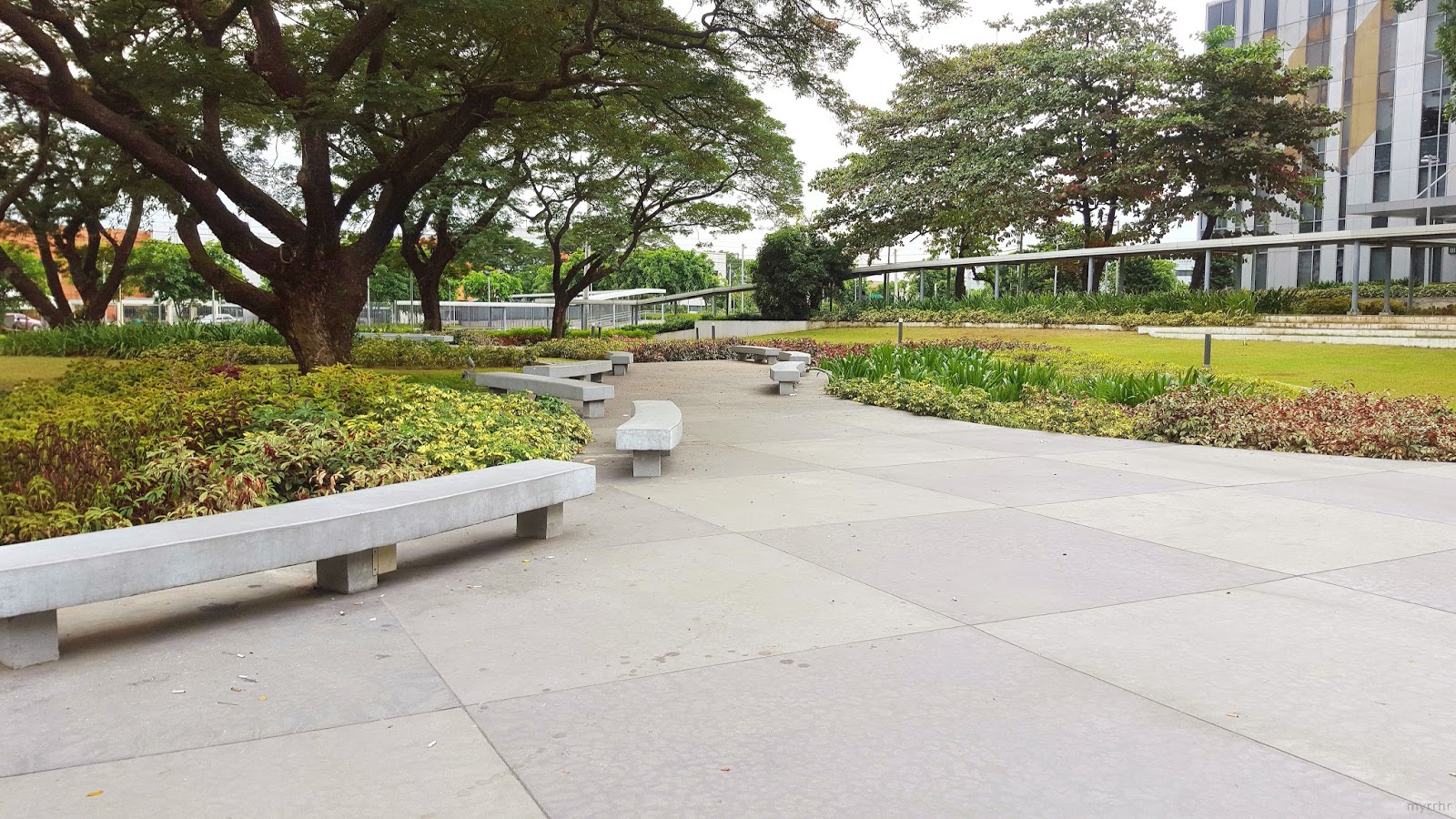 UP Ayala Technohub - Kittenish by Myrrh Reyes