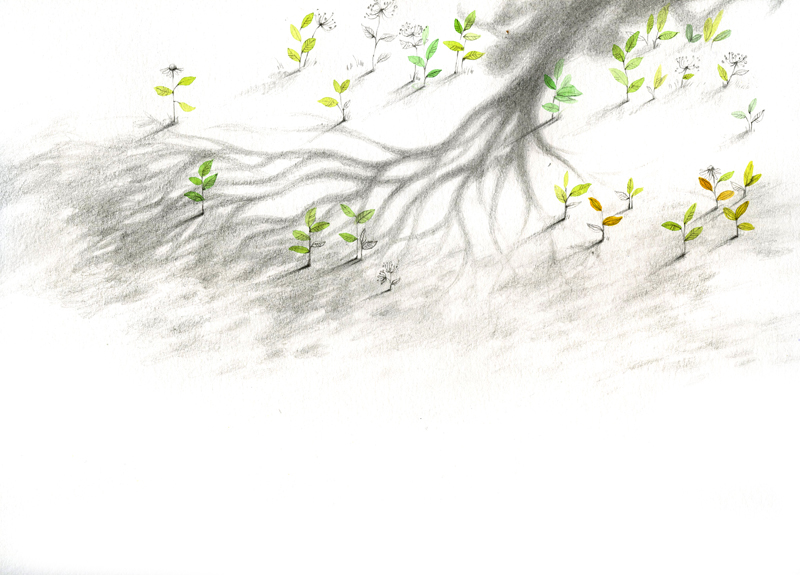 Anca Sandu Illustration