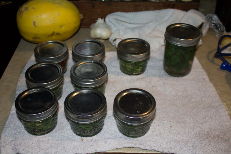 The Redneck Hippie: Canning Hot Peppers The Easy Way ~ AKA Small Batch ...
