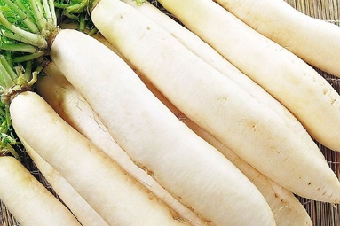 JENIS SAYURAN PENGUAT STAMINA DI MUSIM HUJAN - Jadi Kahiji