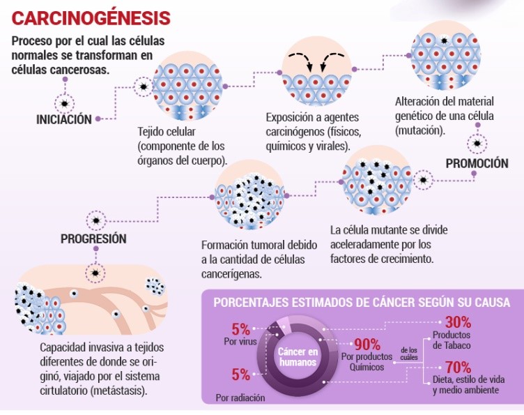 Bioblogueando con el F: Cáncer
