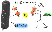 sciencemug sip science & laugh: BACTERIA vs HUMAN CELLS: 1 to 1 (FINAL ...